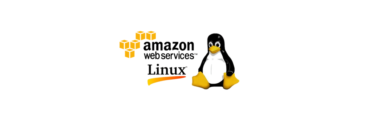 How to Enable X11 Forwarding on Amazon Linux – MultiSequence Inc.